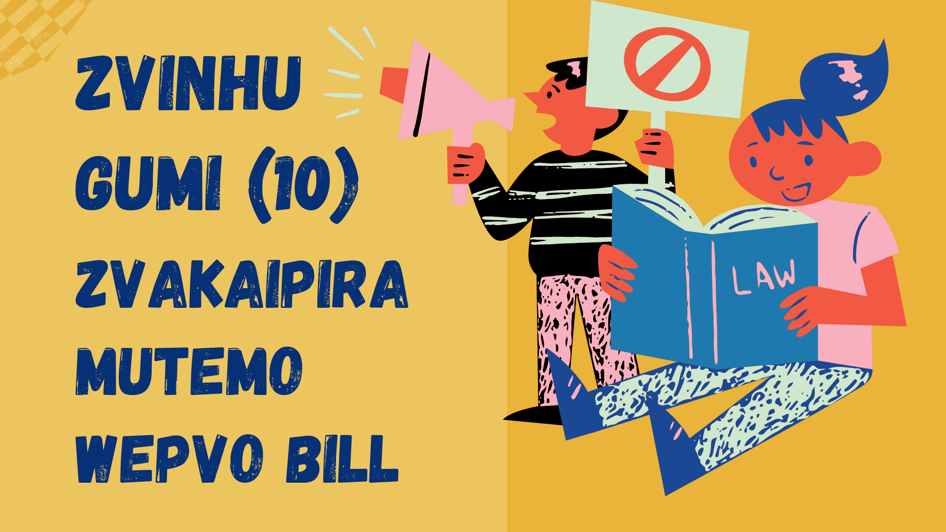ZVIKONZERO GUMI ZVINORATIDZA KUIPA KWE PVO BILL KUVANHU VEZIMBABWE ...